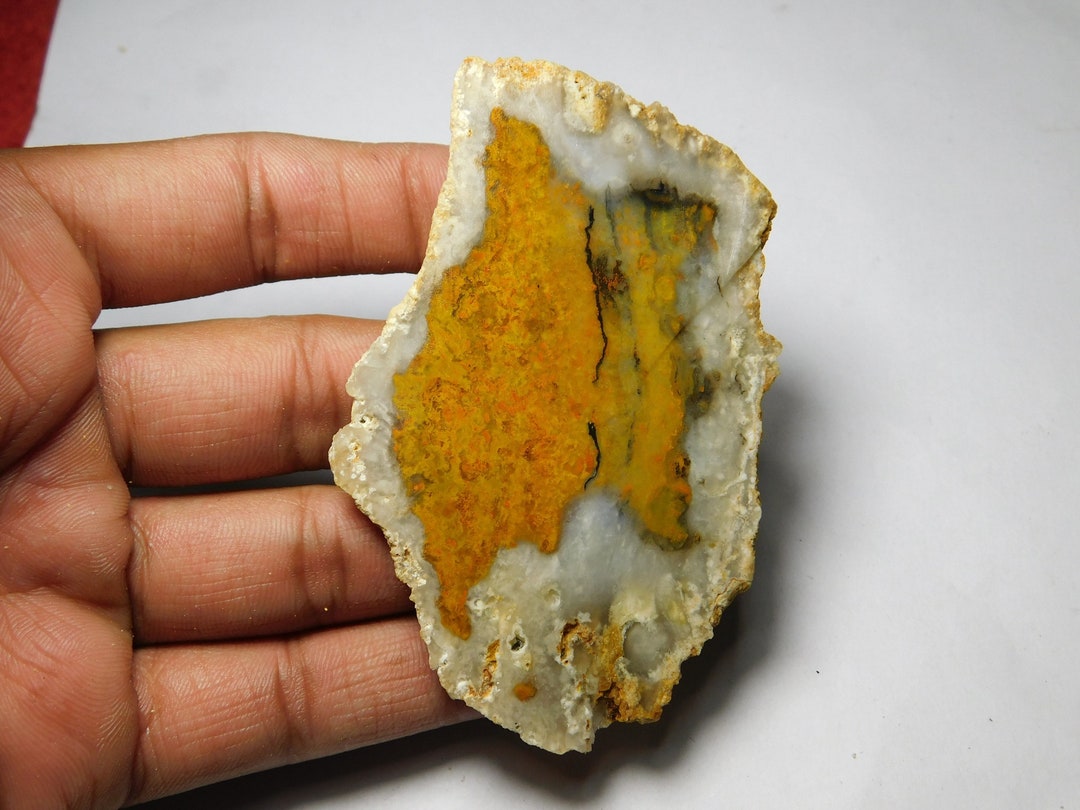 Unpolished New Bumble Bee Slab Natural Bumble Bee Cabochon Amazing ...