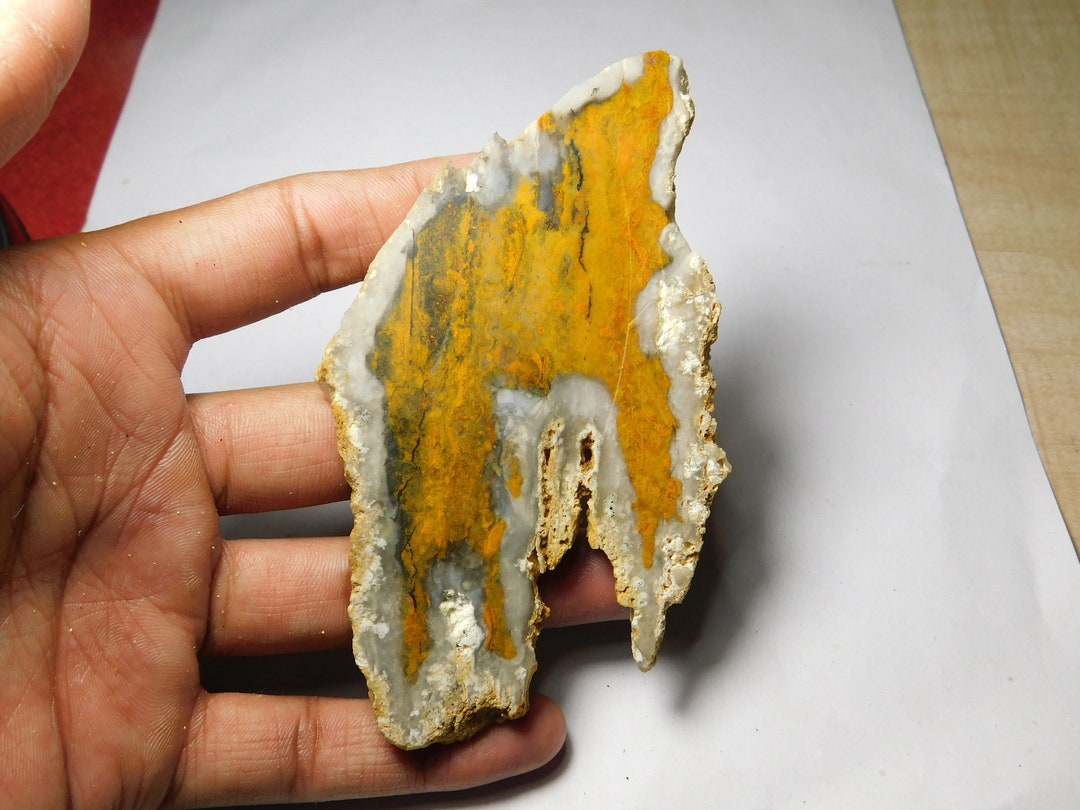 Unpolished New Bumble Bee Slab Natural Bumble Bee Cabochon Amazing ...