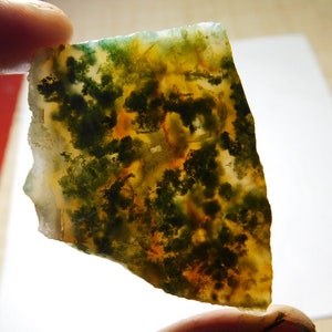 Unpolished 'SLAB' Amazing Moss Agate Gemstone Natural - Etsy