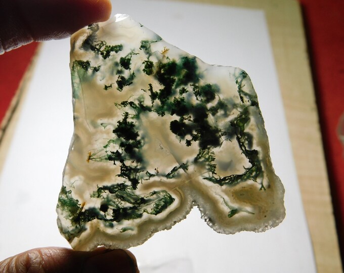 Unpolished 'SLAB' Amazing Moss Agate Gemstone Natural Moss Agate ...