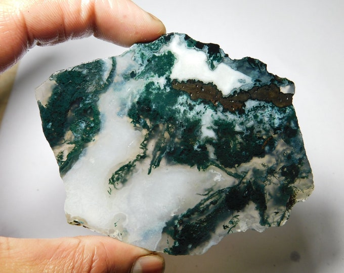 Unpolished 'SLAB' Amazing Moss Agate Gemstone Natural Moss Agate ...