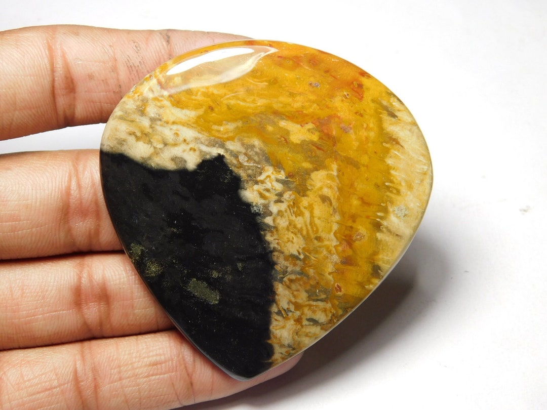 Large Natural Petrified Flame Palm Root,top Quality Petrified Flame ...