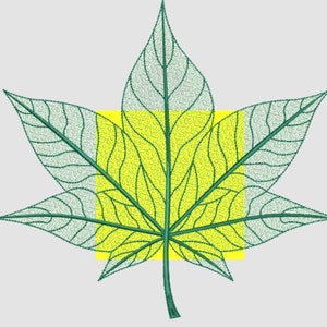 Leaf Transparent Machine Embroidery Design, Elegant Fall Easy Maple ...