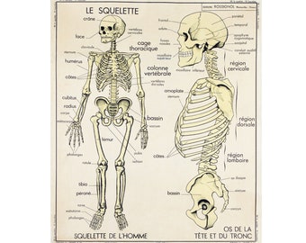 Vintage School Poster Maps of France - Picardy Region - Wall Decoration ...