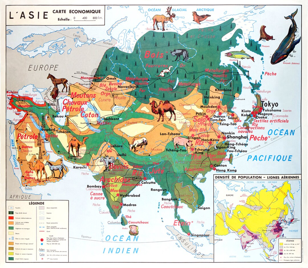 Vintage School Poster World Maps - Asia Economy - Wall Decoration ...
