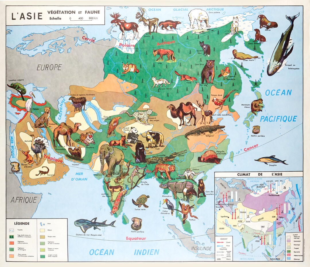 Vintage School Poster World Maps Asia Wildlife Wall Decoration Poster ...
