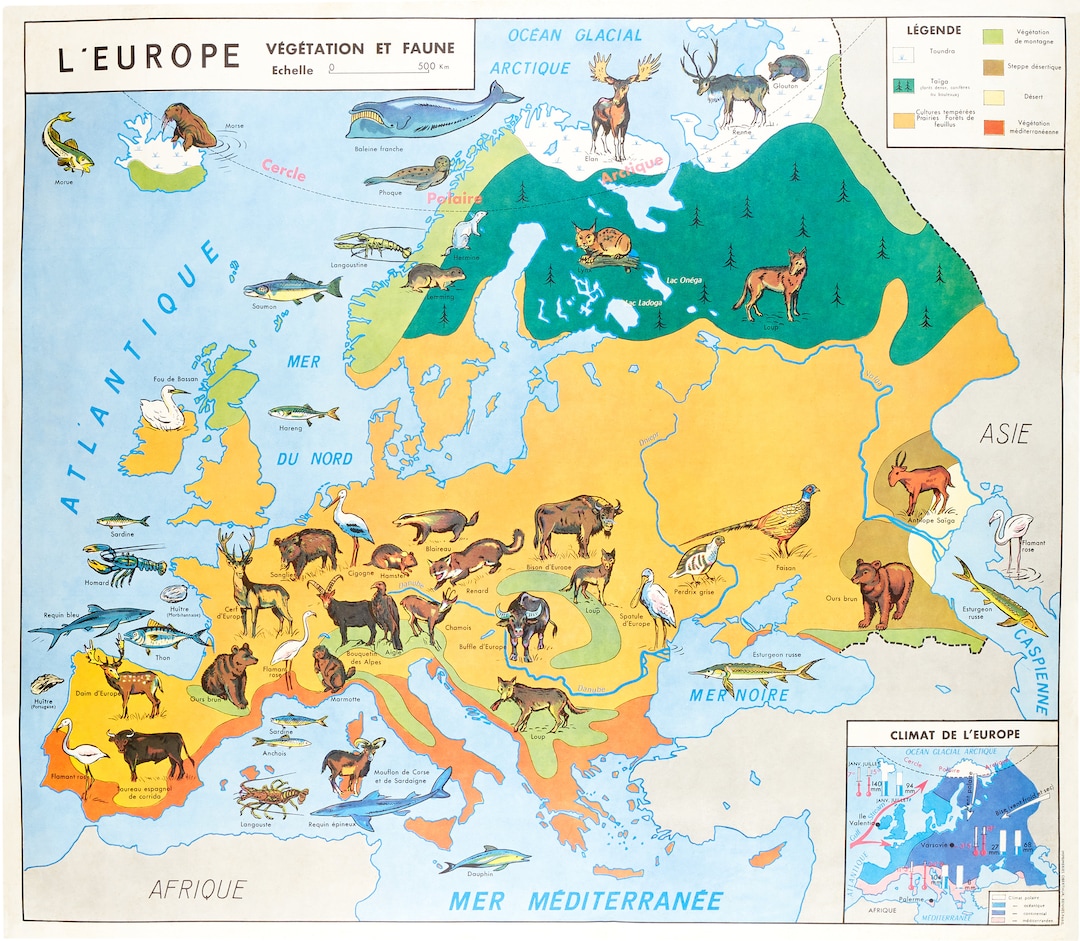 Vintage School Poster World Maps Europe Wildlife Wall Decoration Poster ...