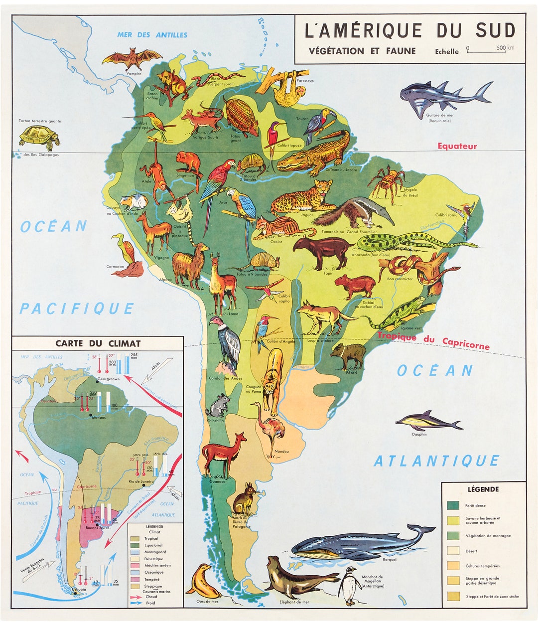 Vintage School Poster World Maps South America Wildlife Wall Decoration ...