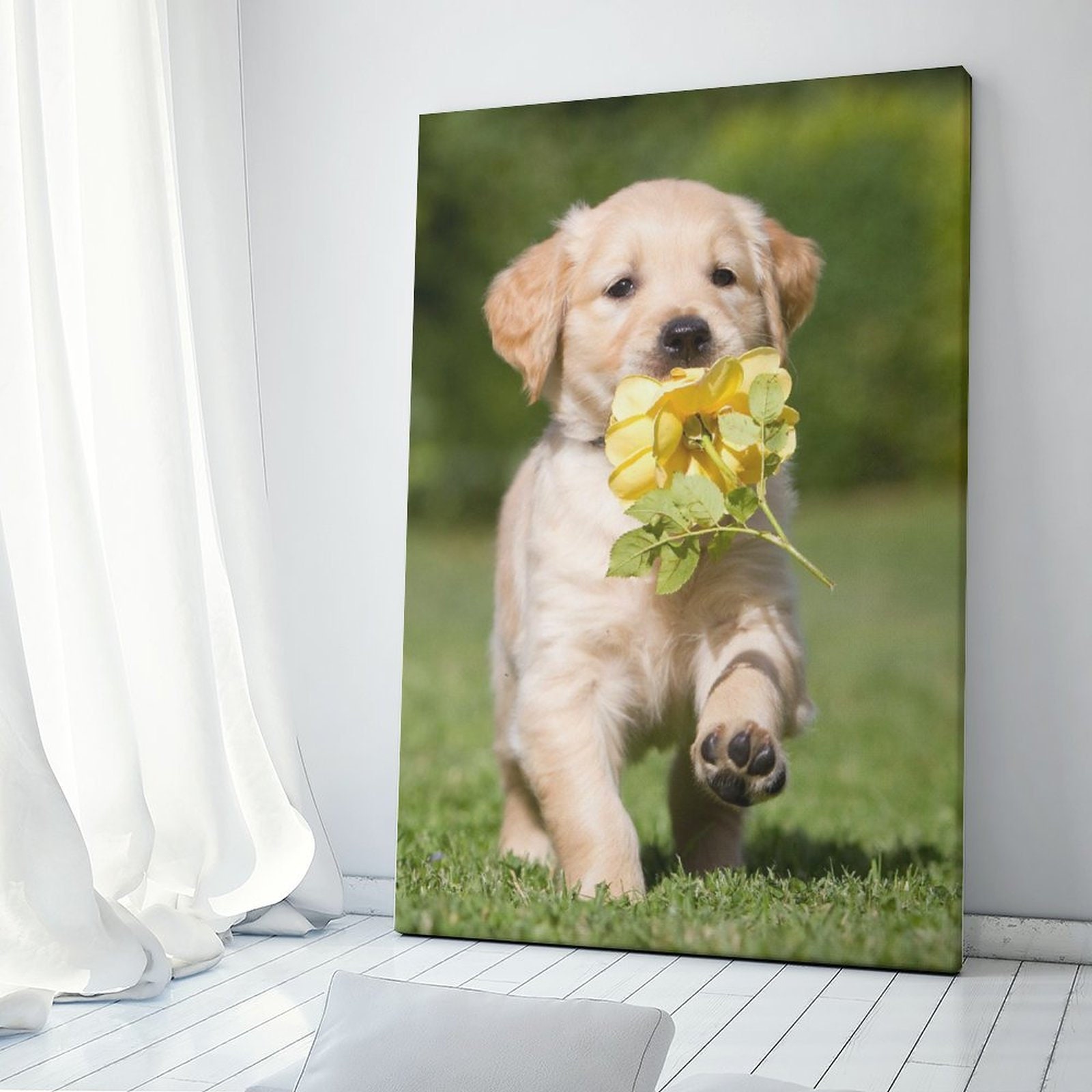Cute Pet Puppy Golden Retriever Poster Canvas Art Poster and - Etsy