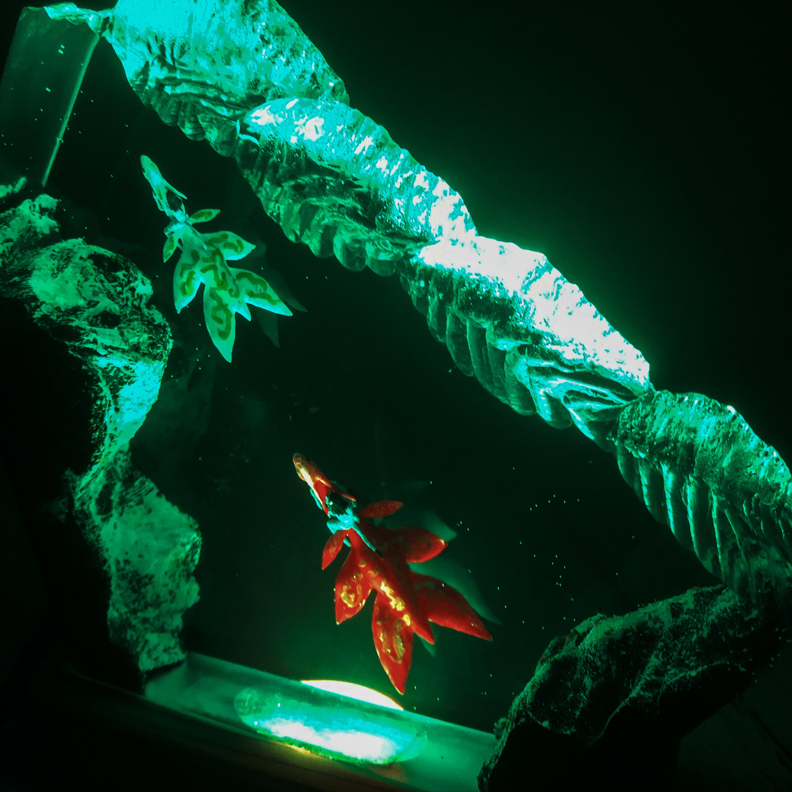 Avatar the Way of Water Resin Epoxy Lamp Wood Resin Lamp - Etsy