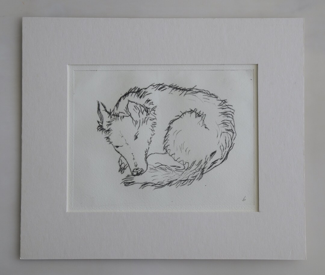Drypoint Print of a Sleeping Dog - Etsy