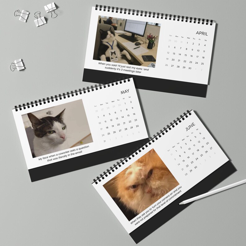 2026 Calendar - Office Cats, 2026 Desk Calendar, Funny Cat Office Humor ...