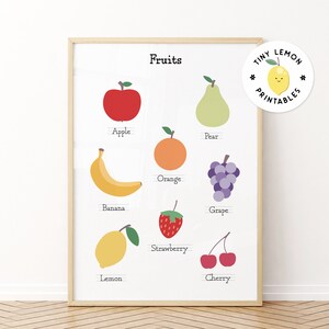 Fruits Educational Poster. Learnig Fruits Poster. Learnig Materials ...
