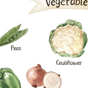 Watercolour Vegetables Poster. Vegetables Educational Poster. Clasroom ...