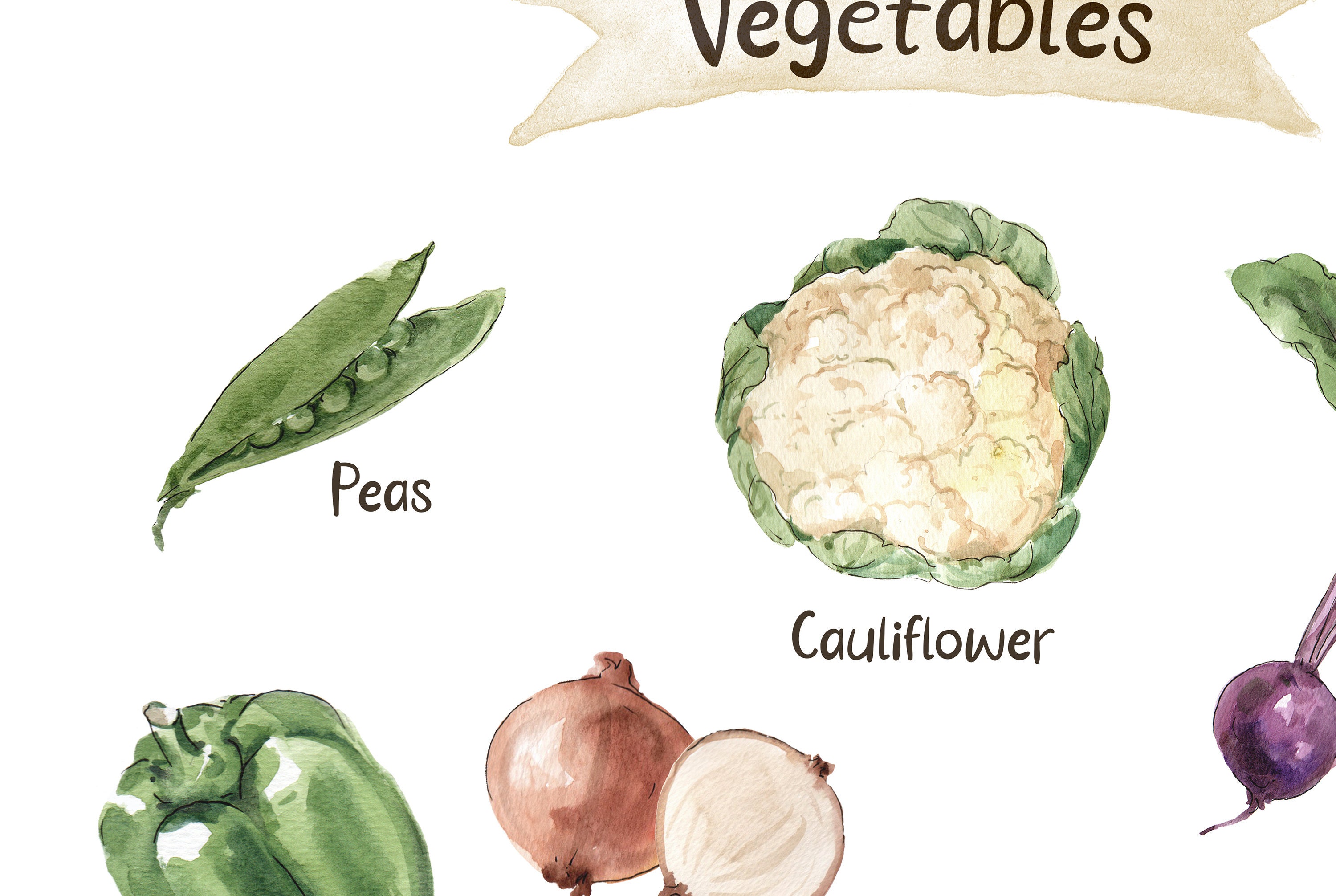 Watercolour Vegetables Poster. Vegetables Educational Poster. Clasroom ...