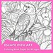 Birds Coloring Pages Digital Download Printable Kids Activities - Etsy