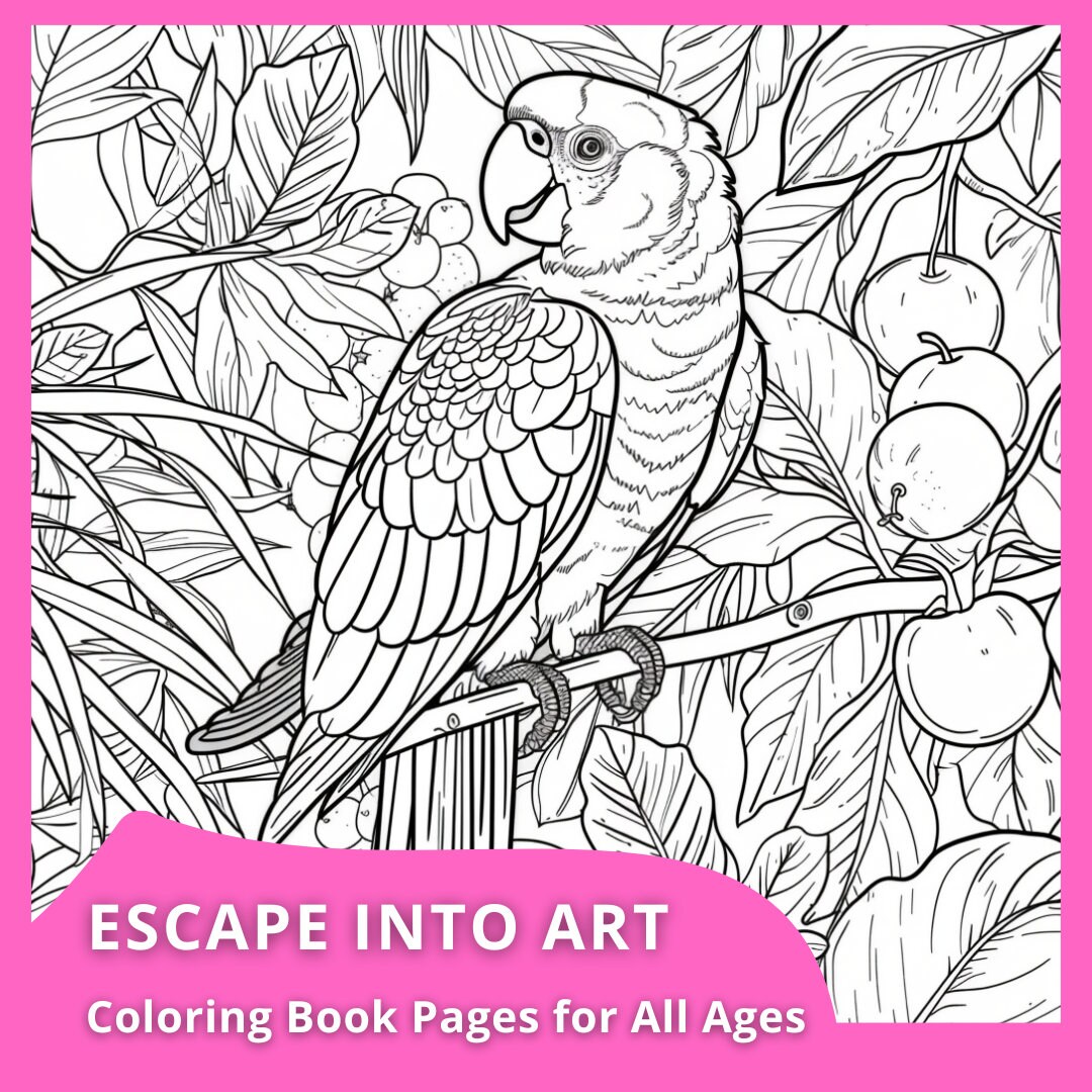 Birds Coloring Pages | Digital Download | Printable | Kids Activities ...