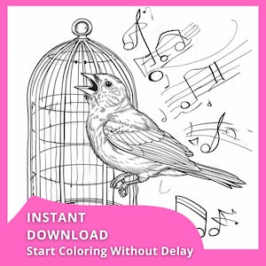 Birds Coloring Pages | Digital Download | Printable | Kids Activities ...