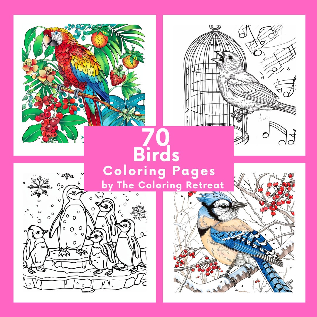 Birds Coloring Pages | Digital Download | Printable | Kids Activities ...