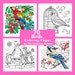 Birds Coloring Pages Digital Download Printable Kids Activities - Etsy
