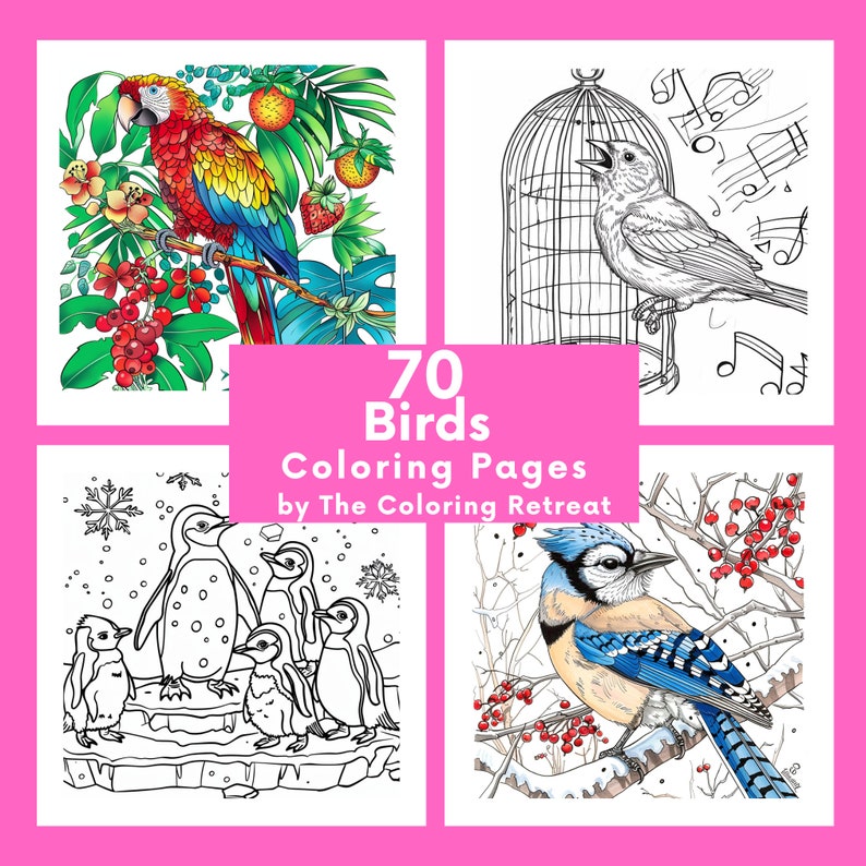 Birds Coloring Pages | Digital Download | Printable | Kids Activities ...