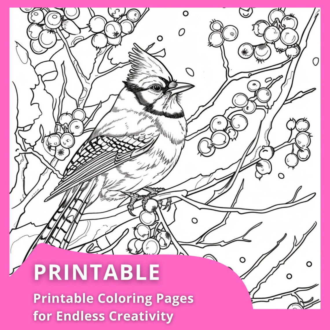 Birds Coloring Pages | Digital Download | Printable | Kids Activities ...