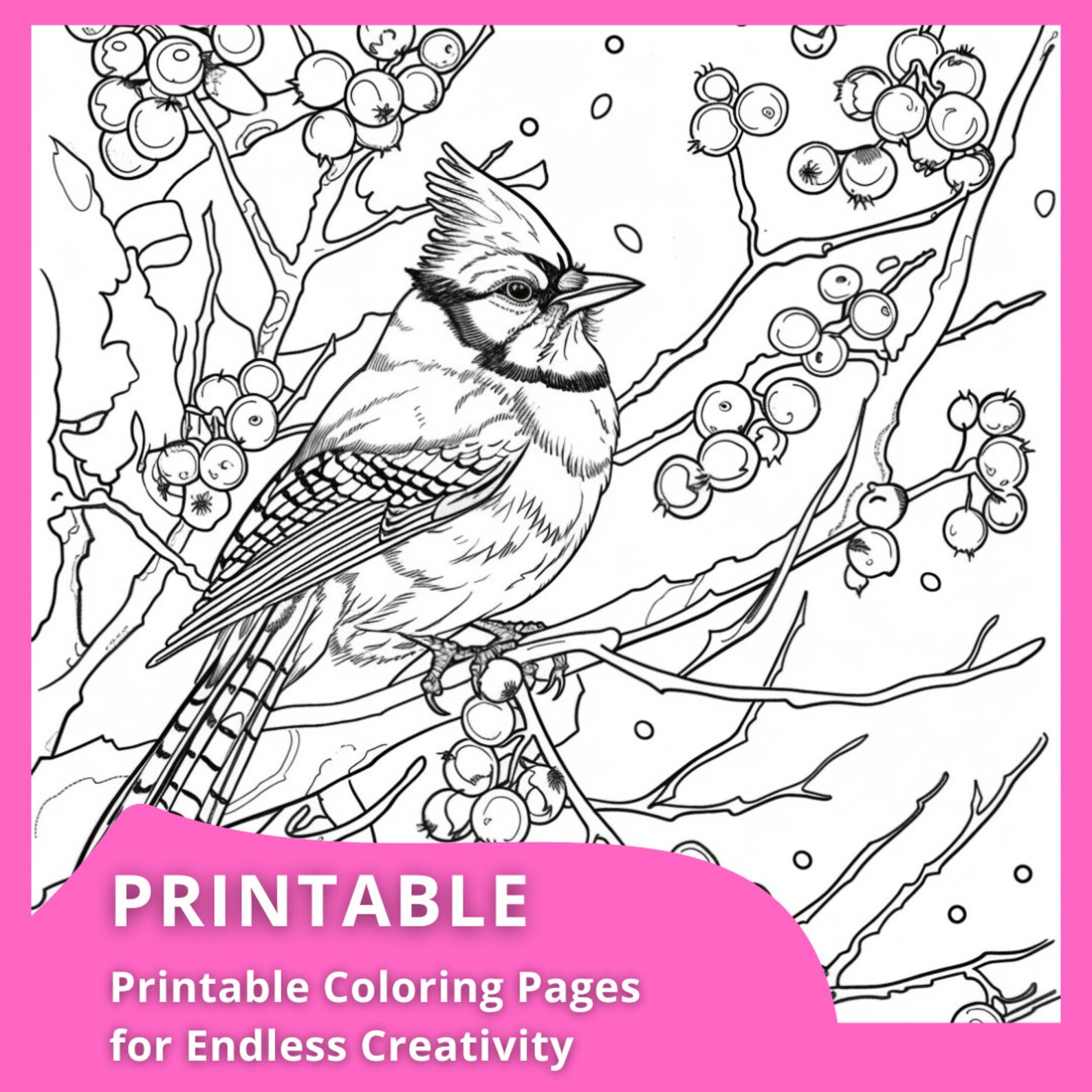 Birds Coloring Pages | Digital Download | Printable | Kids Activities ...