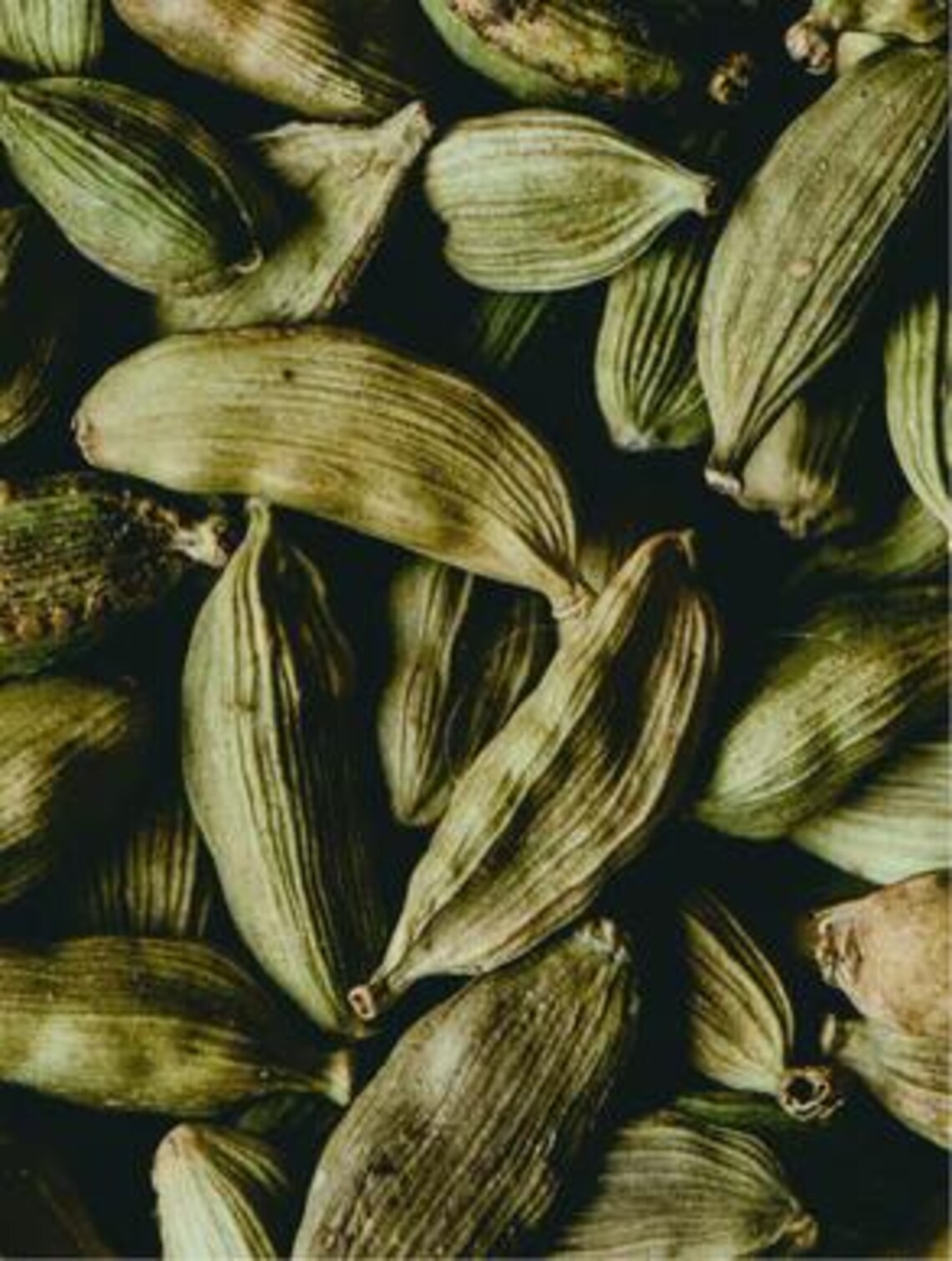 Scandinavian Ginger Cardamom Hand Wash – Natural Vegan Friendly ...