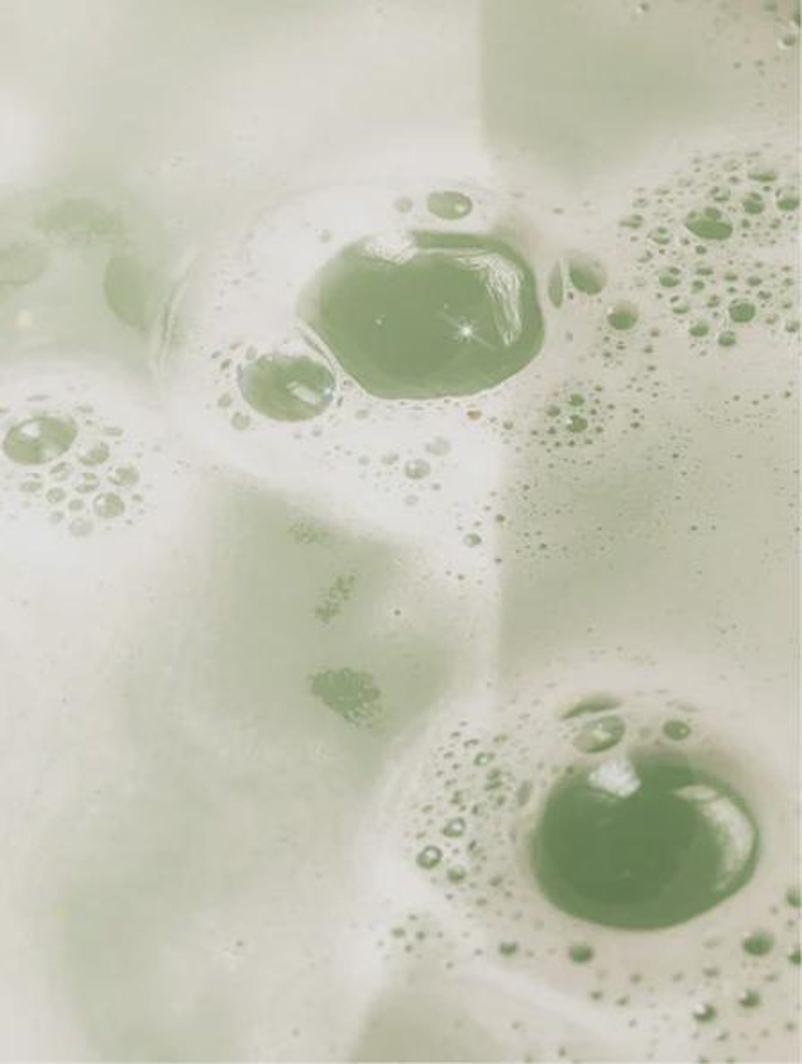 Scandinavian Ginger Cardamom Hand Wash – Natural Vegan Friendly ...
