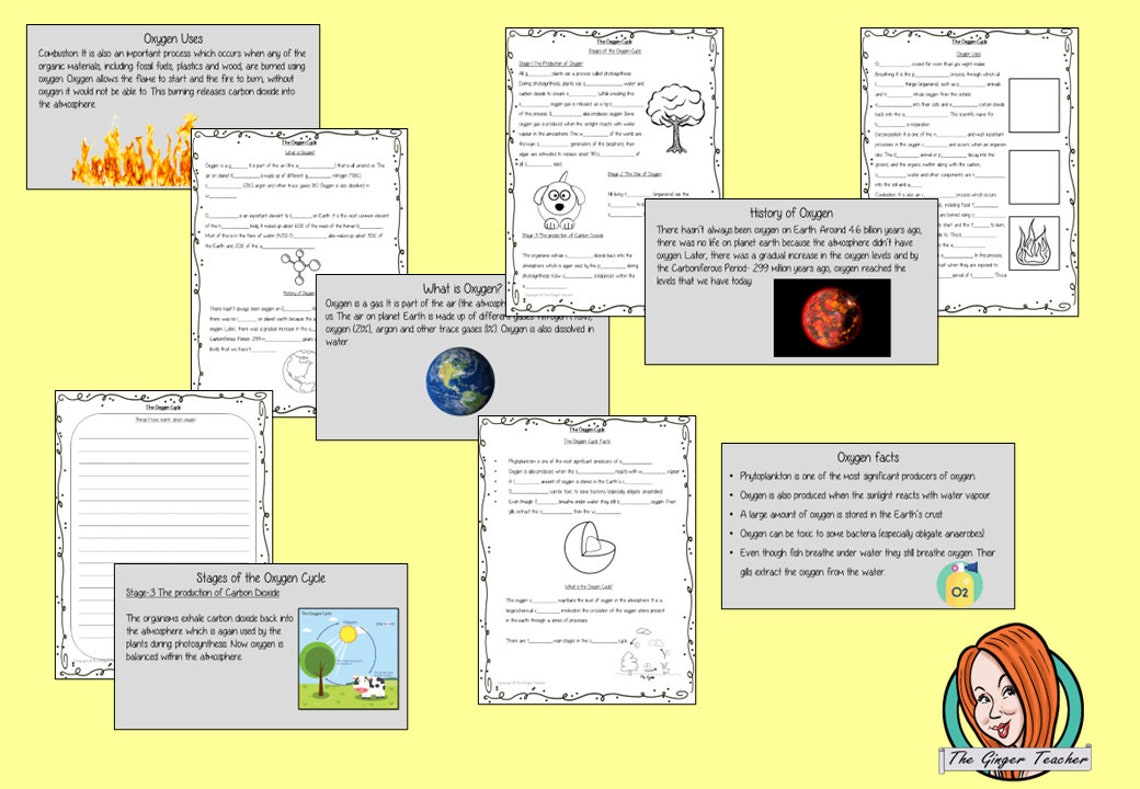 THE OXYGEN CYCLE Science Lesson. Complete Science Powerpoint and ...