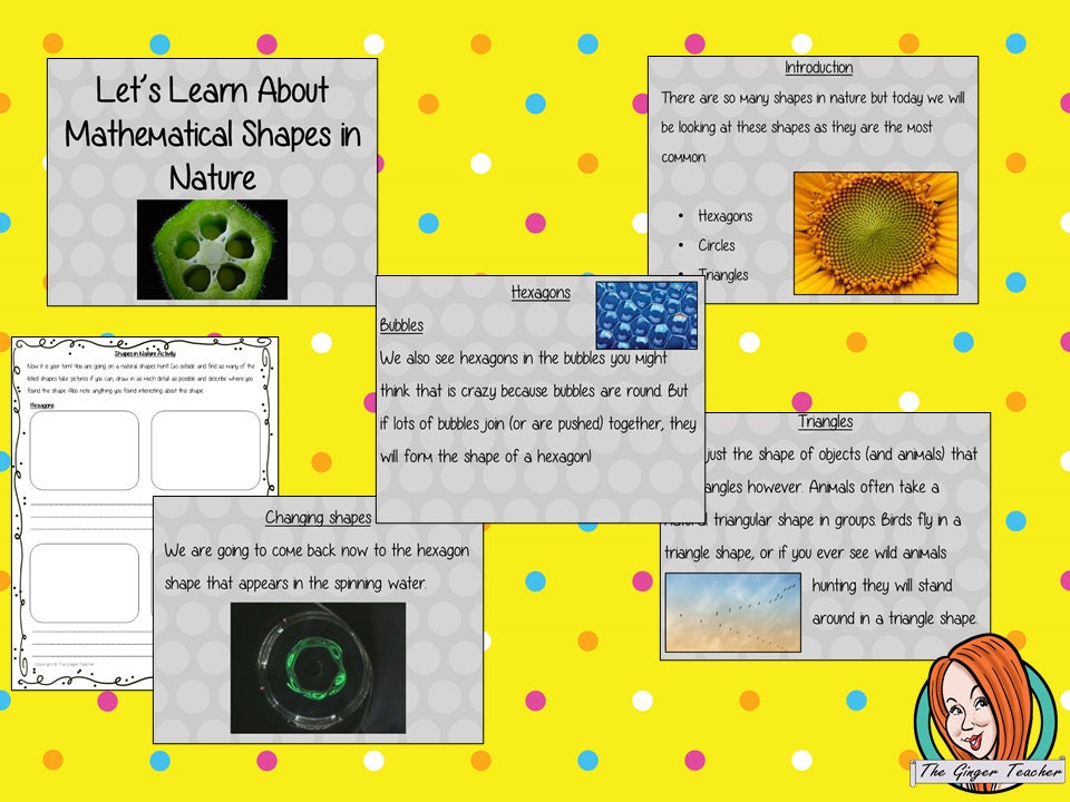 Mathematical Shapes in Nature Classroom Teaching Resources for Math ...