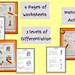 Ancient Egyptian Mummies Lesson Classroom Teaching Resources - Etsy