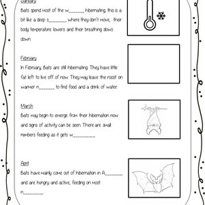 BATS LESSON Powerpoint and Worksheets Classroom Teaching Resources ...