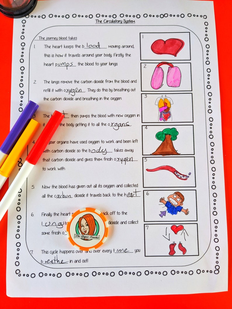 Blood Lesson the Circulatory System Classroom Teaching - Etsy