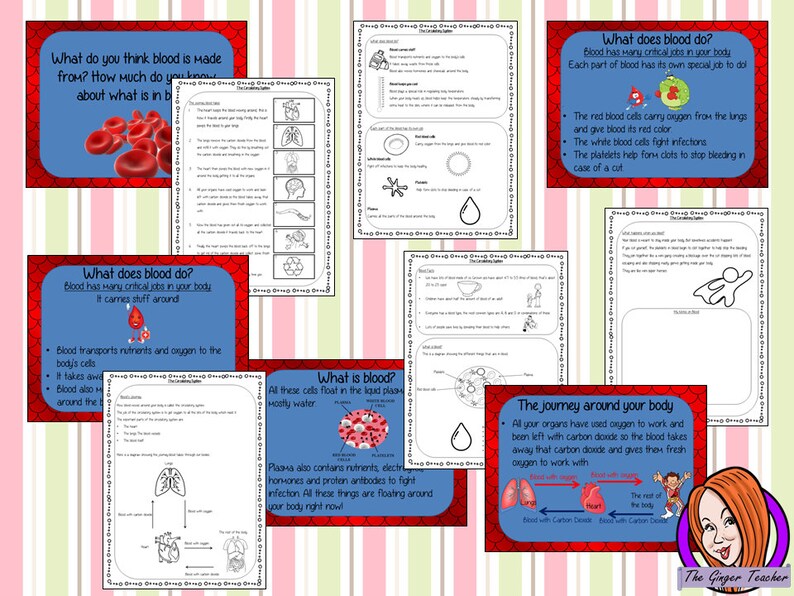 Blood Lesson the Circulatory System Classroom Teaching - Etsy