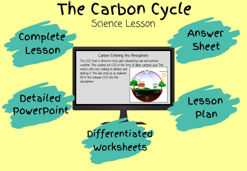 Carbon Cycle Lesson