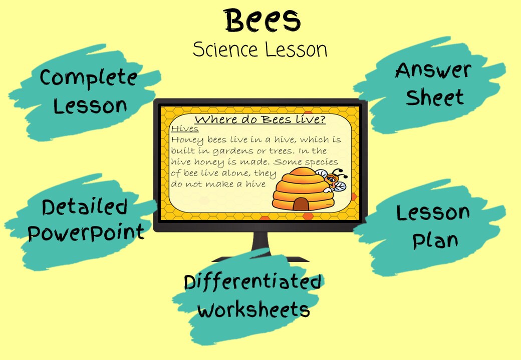 Bees Lesson Classroom Teaching Resources Home School Learning Homework ...