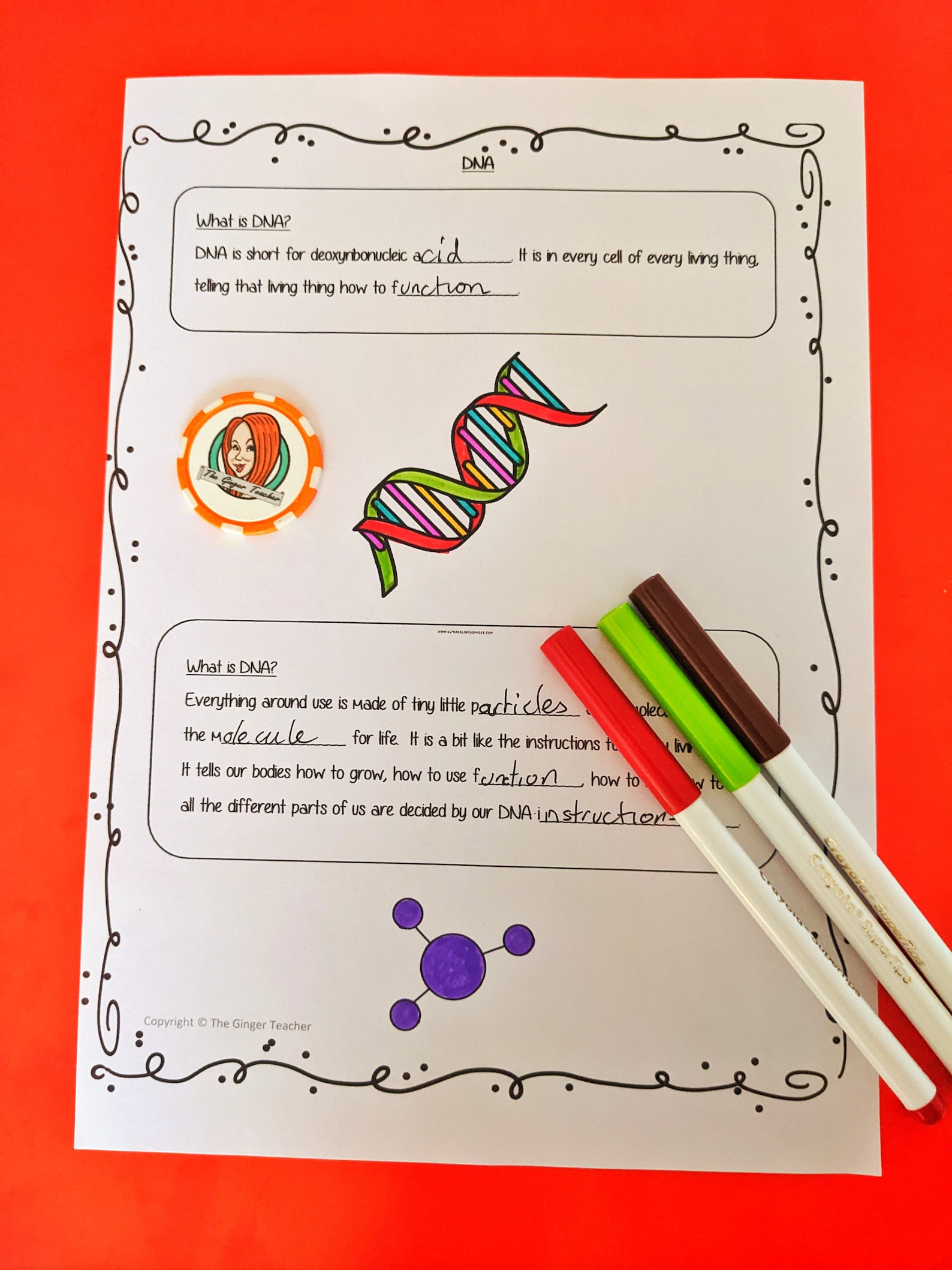 DNA SCIENCE LESSON Classroom Materials for Teachers or Home School ...