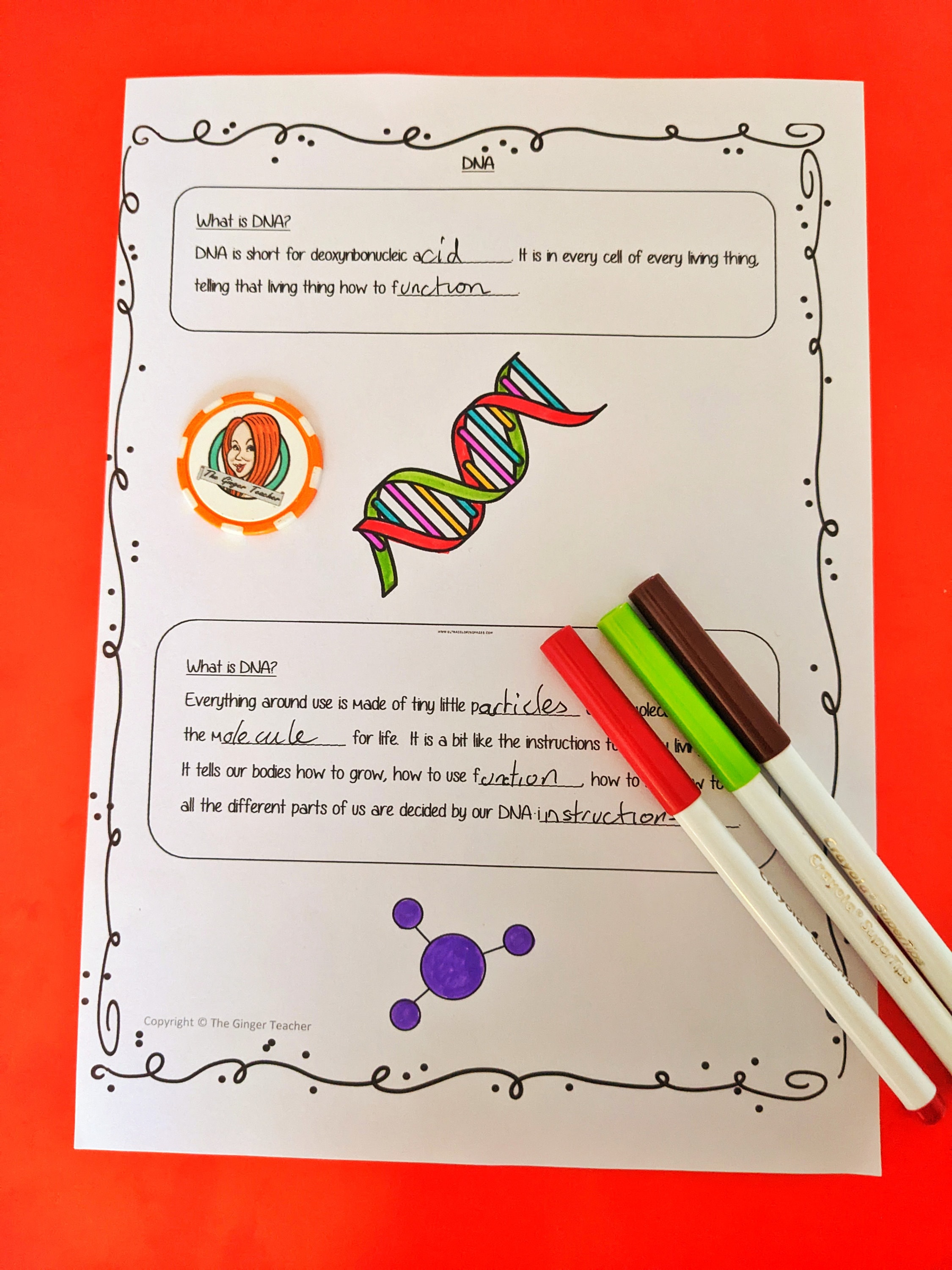 DNA SCIENCE LESSON Classroom Materials for Teachers or Home School ...