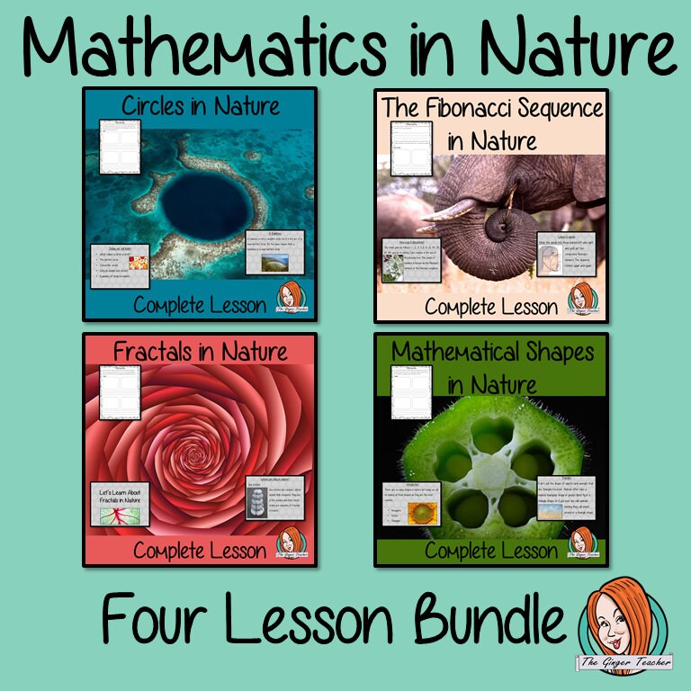 MATHEMATICS in NATURE LESSON Bundle 4 Complete Lessons on Fractals ...