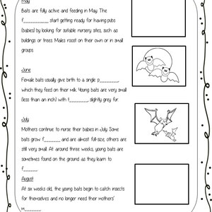 BATS LESSON Powerpoint and Worksheets Classroom Teaching Resources ...