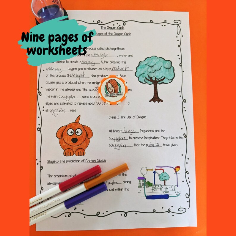 THE OXYGEN CYCLE Science Lesson. Complete Science Powerpoint and ...