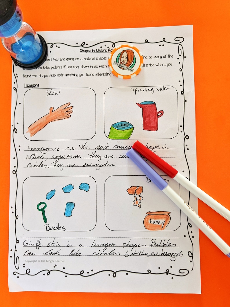 Mathematical Shapes in Nature Classroom Teaching Resources for Math ...