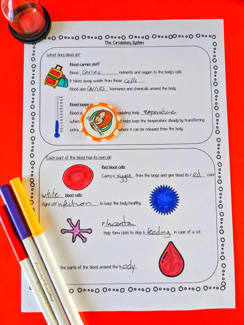 Blood Lesson the Circulatory System Classroom Teaching - Etsy