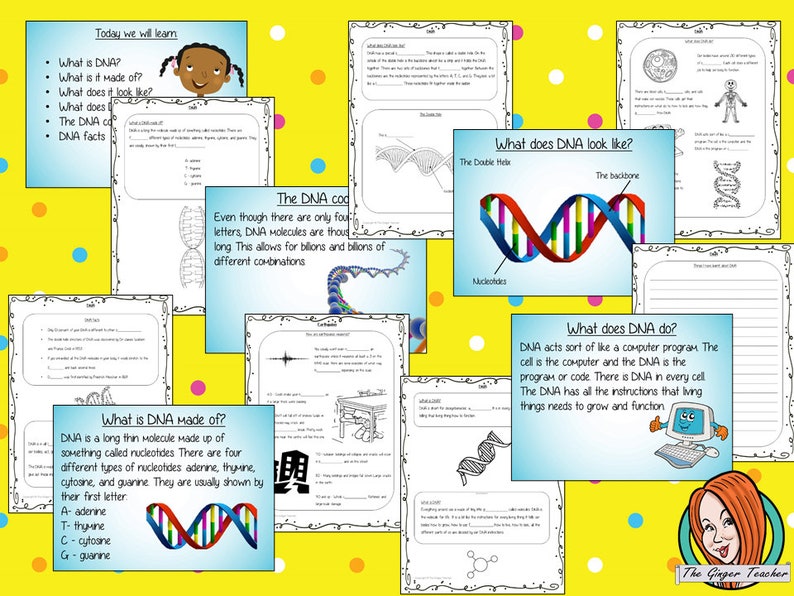 DNA SCIENCE LESSON Classroom Materials for Teachers or Home School ...