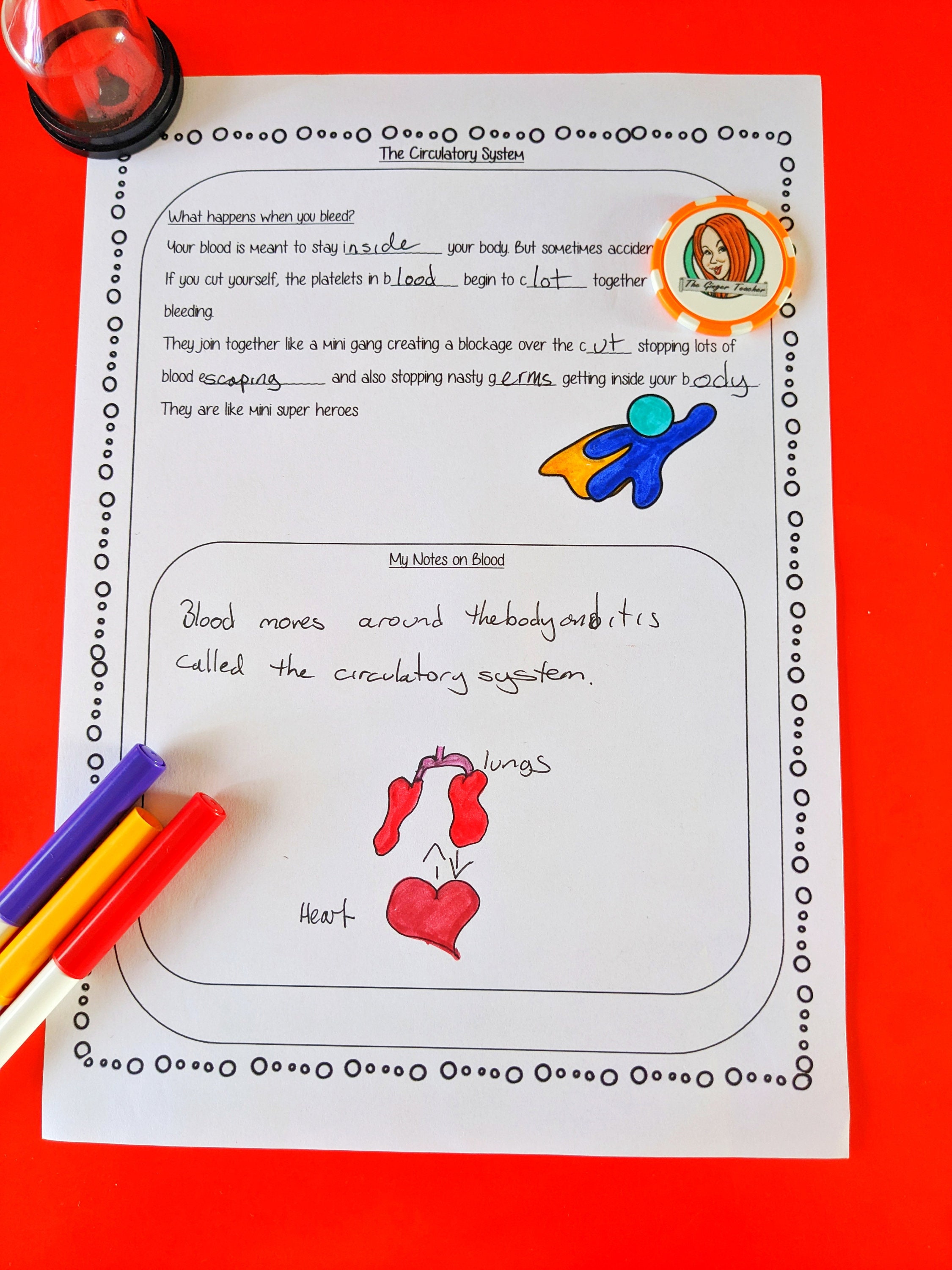 Blood Lesson the Circulatory System Classroom Teaching Resources ...