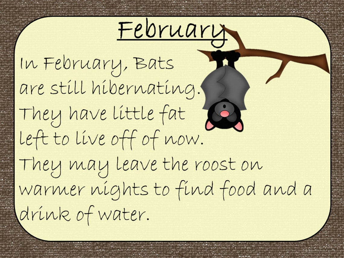 BATS LESSON Powerpoint and Worksheets Classroom Teaching Resources ...