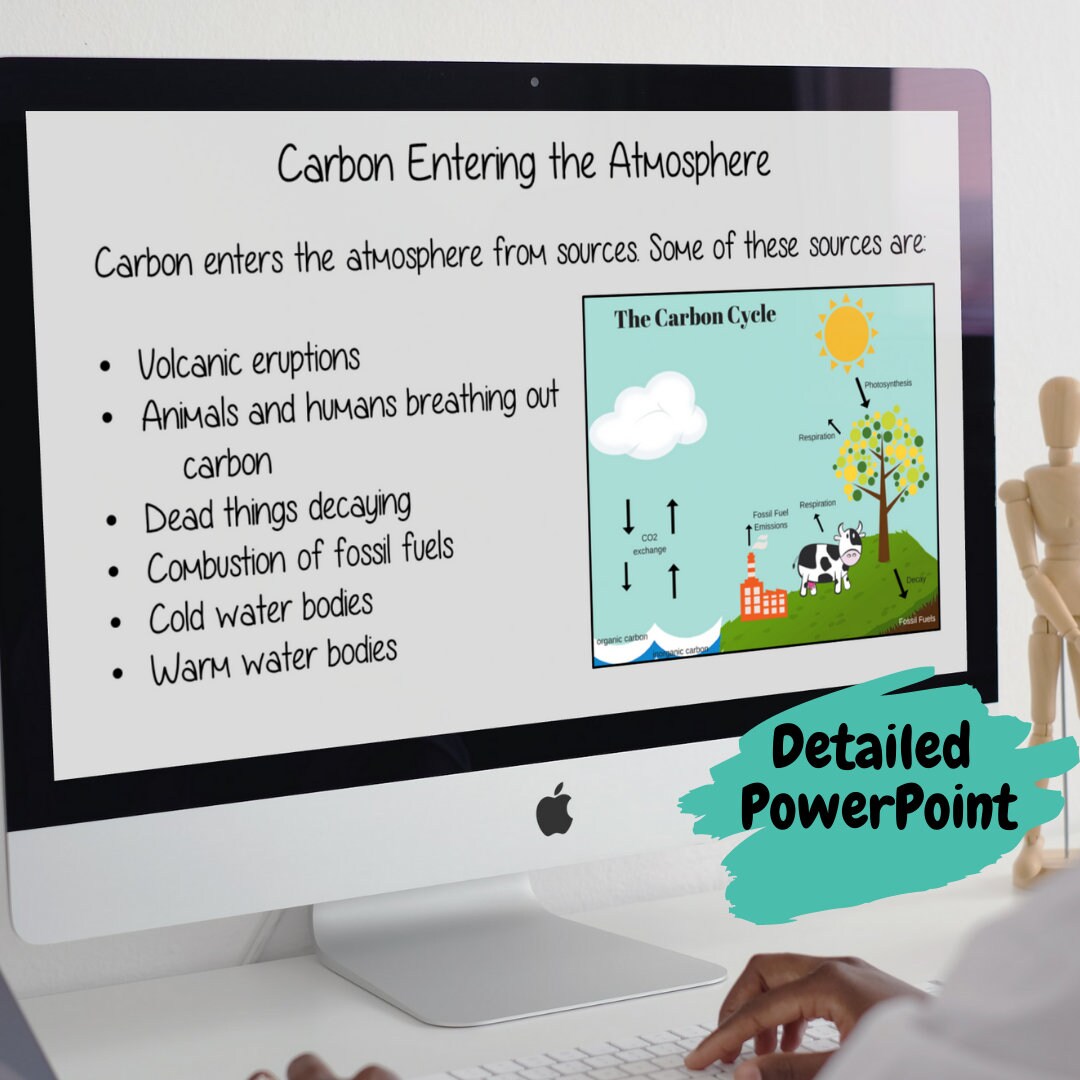 The Carbon Cycle Science Lesson Teaching Resources Home School Teacher ...