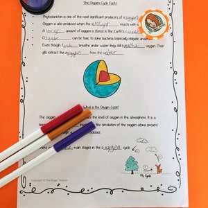 THE OXYGEN CYCLE Science Lesson. Complete Science Powerpoint and ...