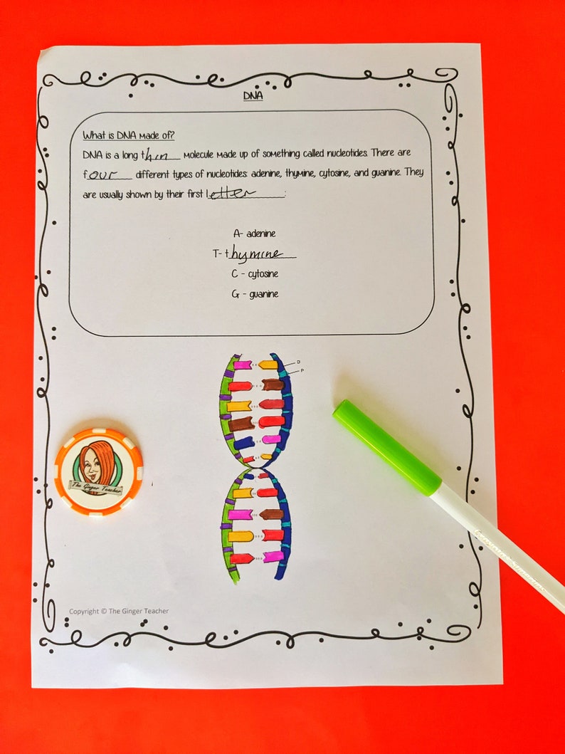 DNA SCIENCE LESSON Classroom Materials for Teachers or Home School ...